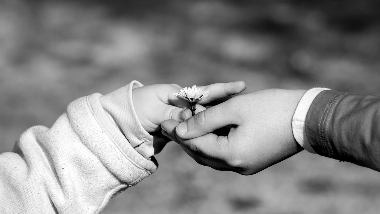 Empathy or Compassion?