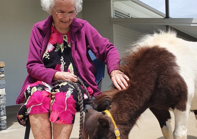 Connecting with animals: It makes paw-fect sense | Churches of Christ